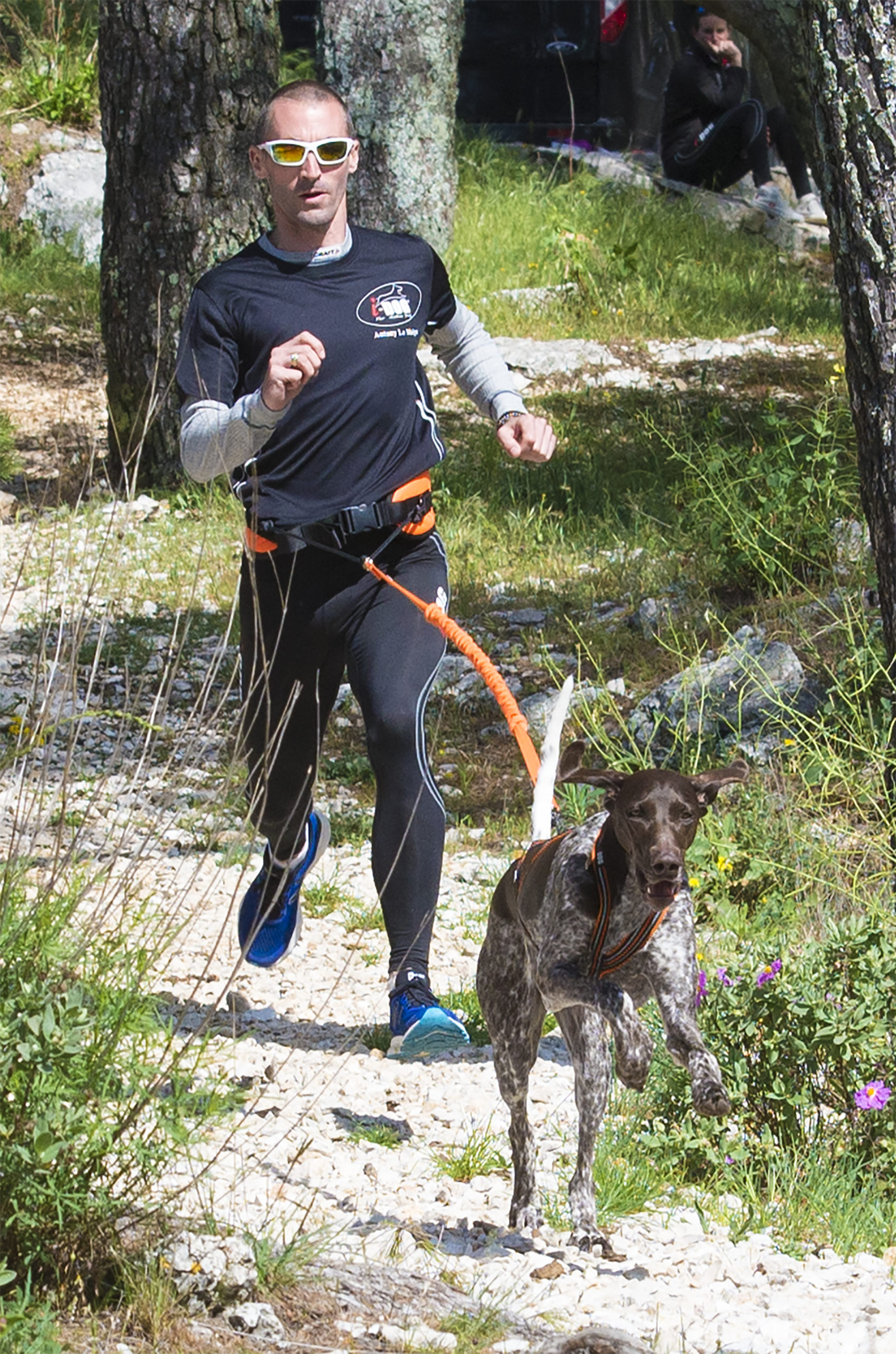 Canicross Kits Matériel Pour Le Sport Canin - ProChasse