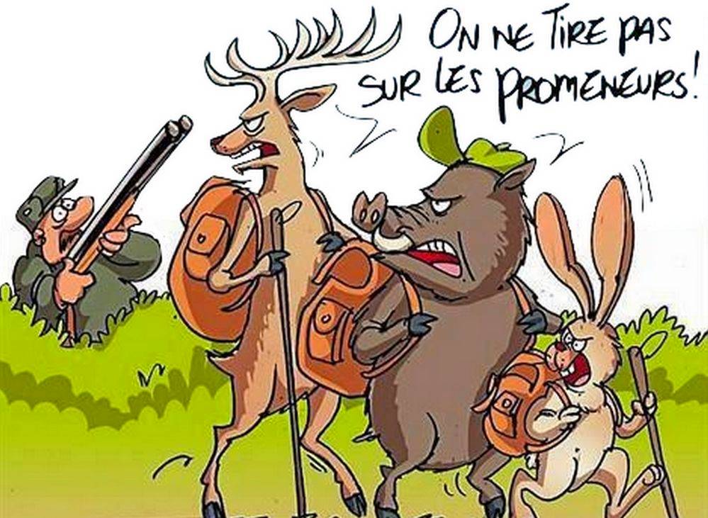 Date D Ouverture De La Chasse 2023 2024 - Image to u Date D Ouverture De La Chasse 2023 2024 - Image to u